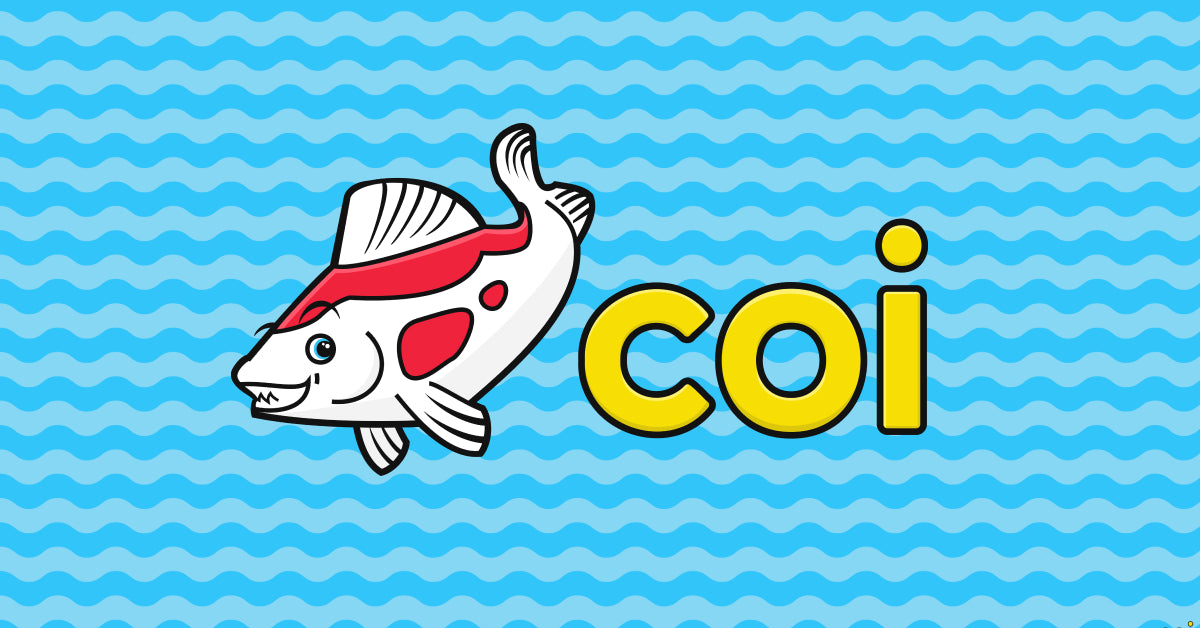 Specialists on Shopify | Official Shopify Expert - coi